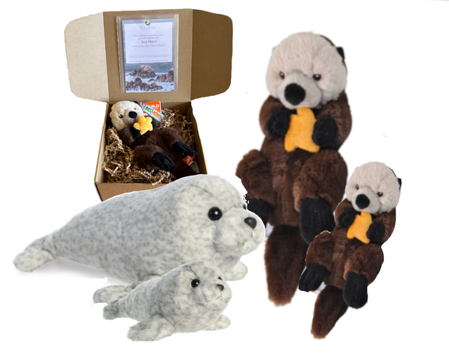 Point Lobos Foundation